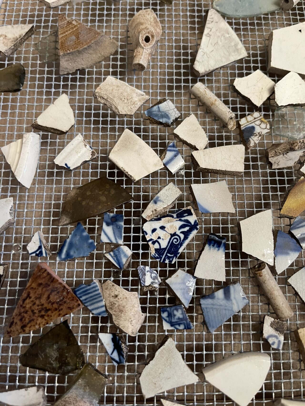 Public Archaeology Corps | Preserving the past and enriching the future